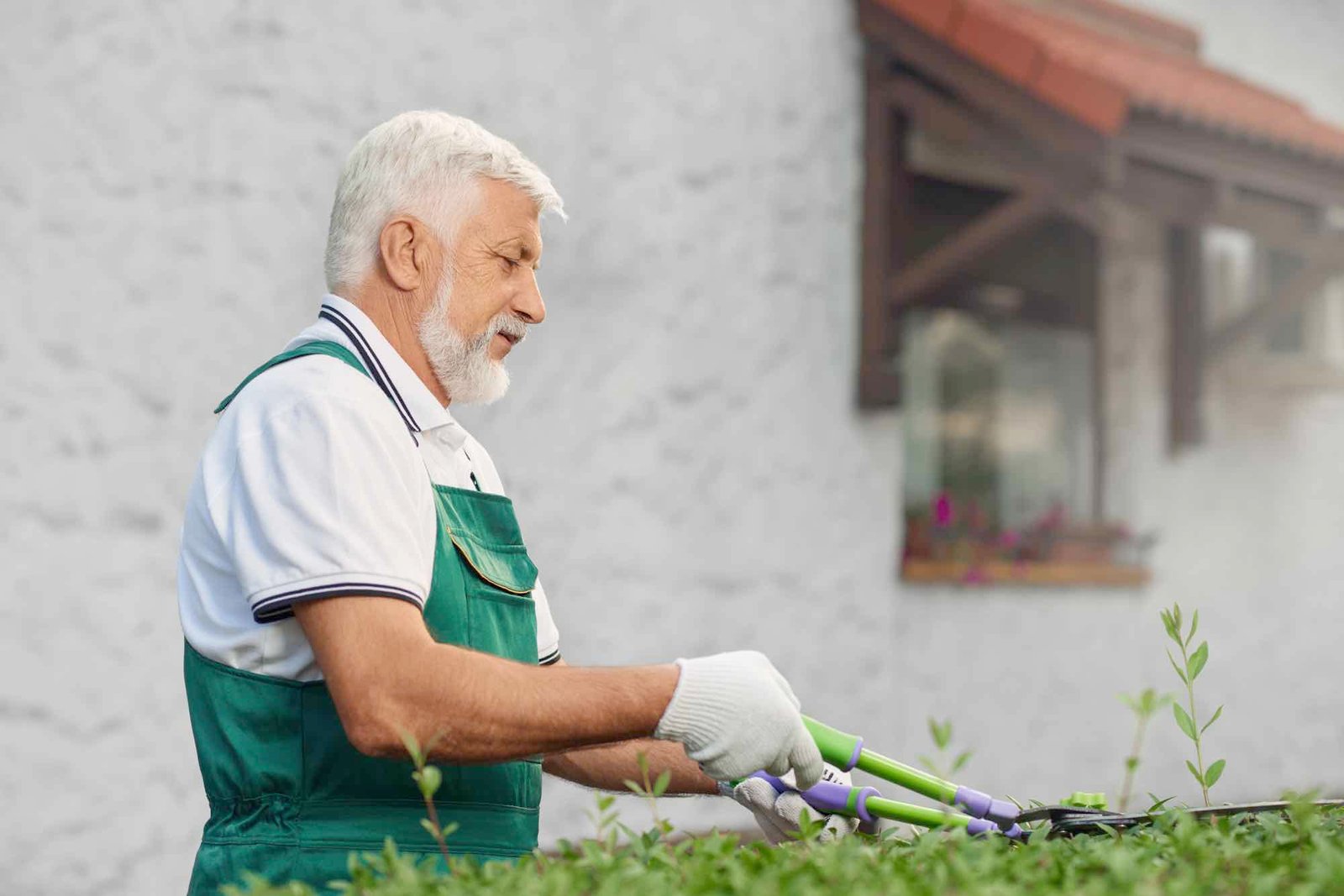 Gallery - Rock Solid Yard